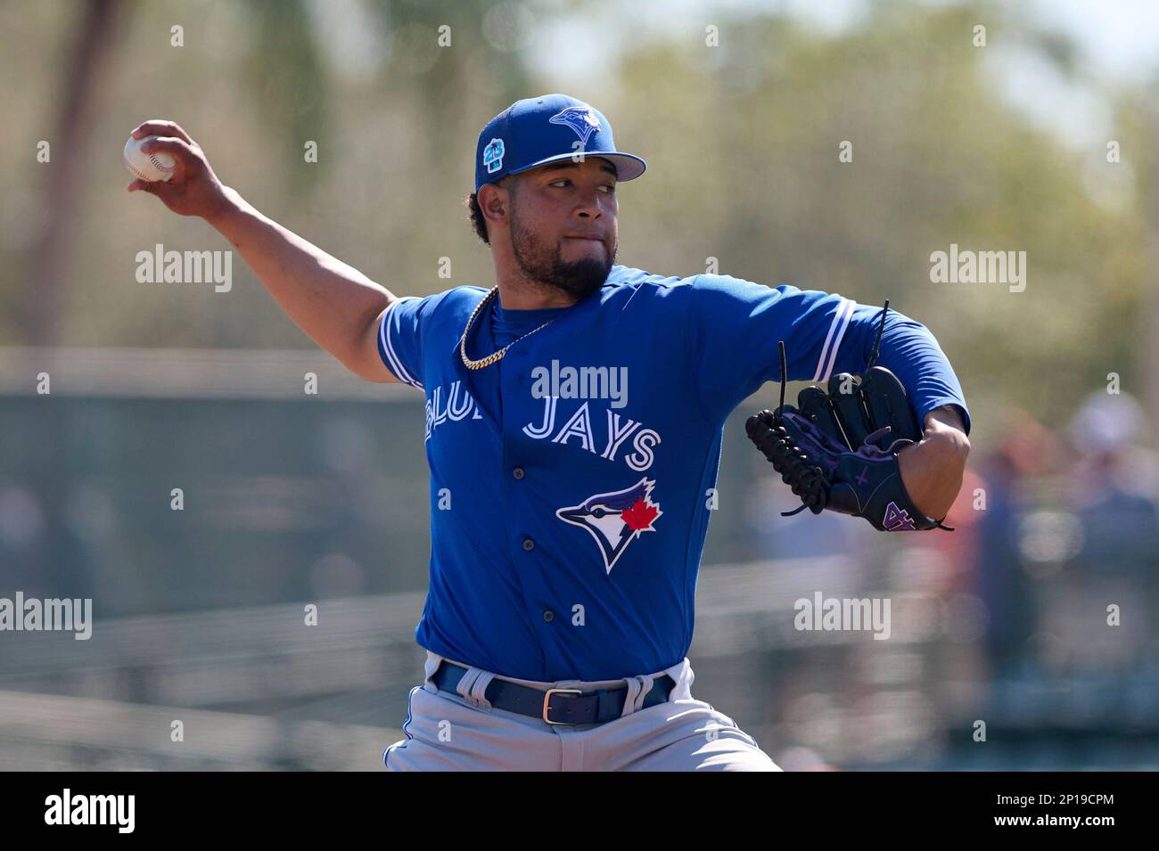 Toronto Blue Jays pitcher Julian Fernandez (35) during a spring ...