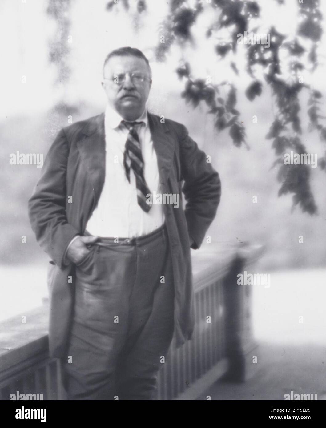 Portrait photograph of Theodore Roosevelt, 1916 Sept. 8 Stock Photo - Alamy