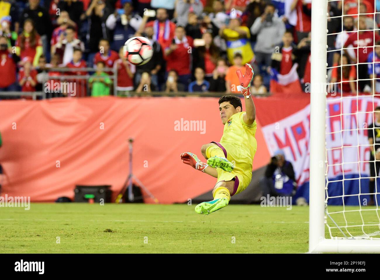 Friday, June 10, 2016: Bolivia goalkeeper Carlos Lampe (1) tries to ...