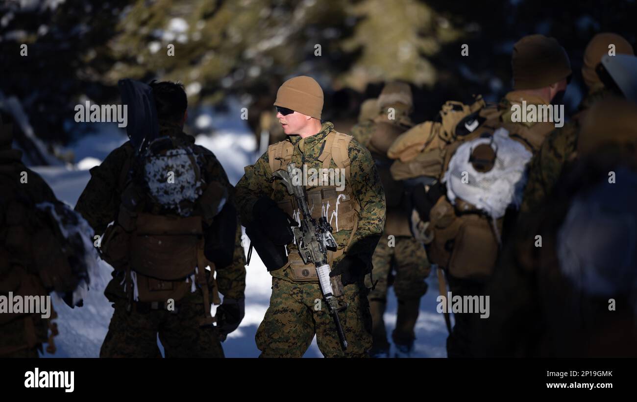 U.S. Marines with 2d Battalion, 8th Marine Regiment, 2d Marine Division ...