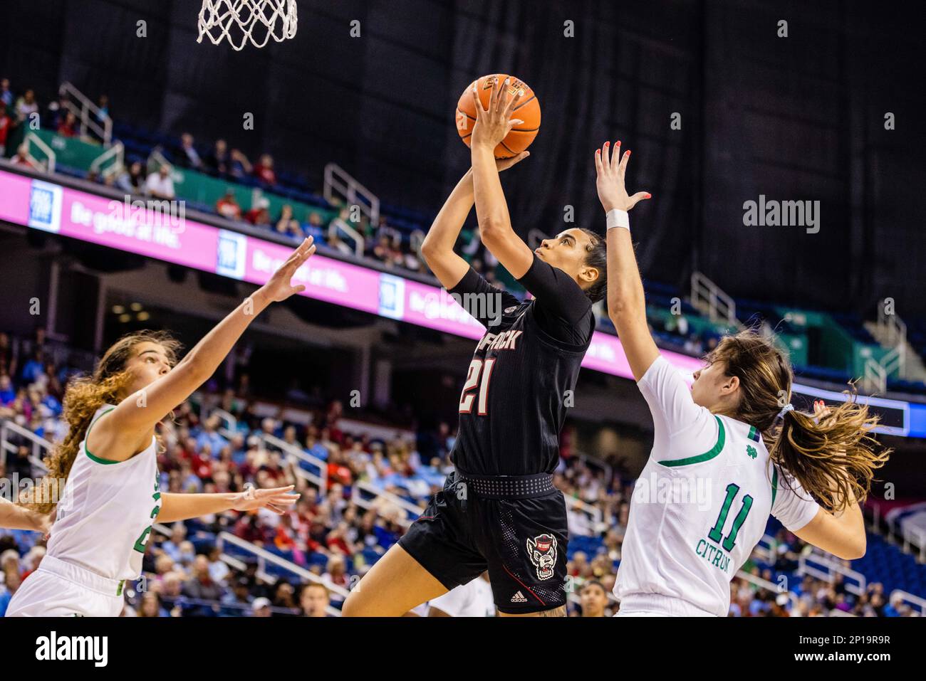 Maddy madison hi-res stock photography and images - Alamy