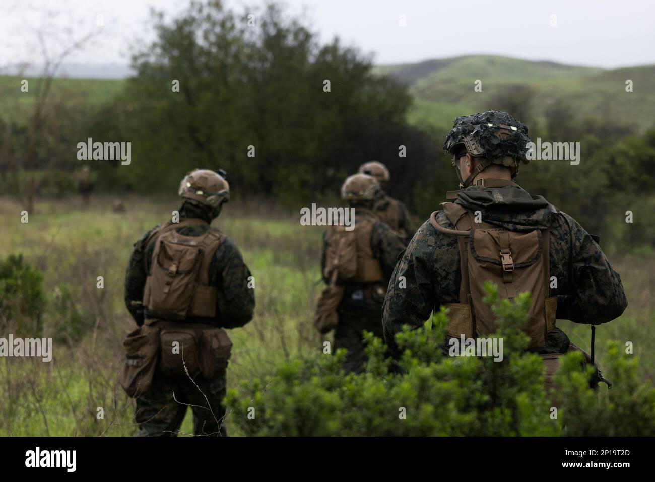 U.S. Marines with Alpha Company, 3rd Light Armored Reconnaissance ...