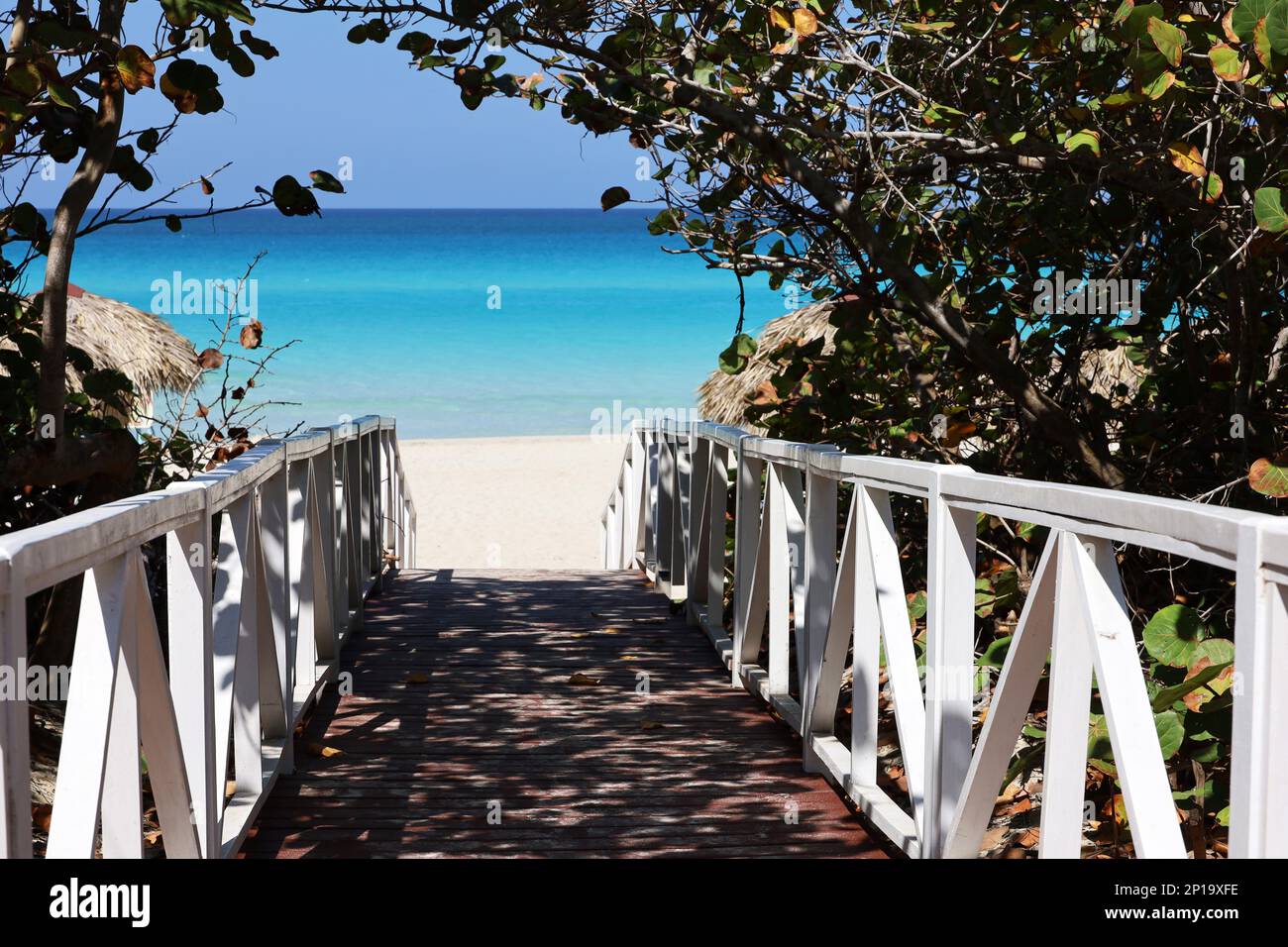 Wooden path to tropical beach with white sand. Picturesque view through ...
