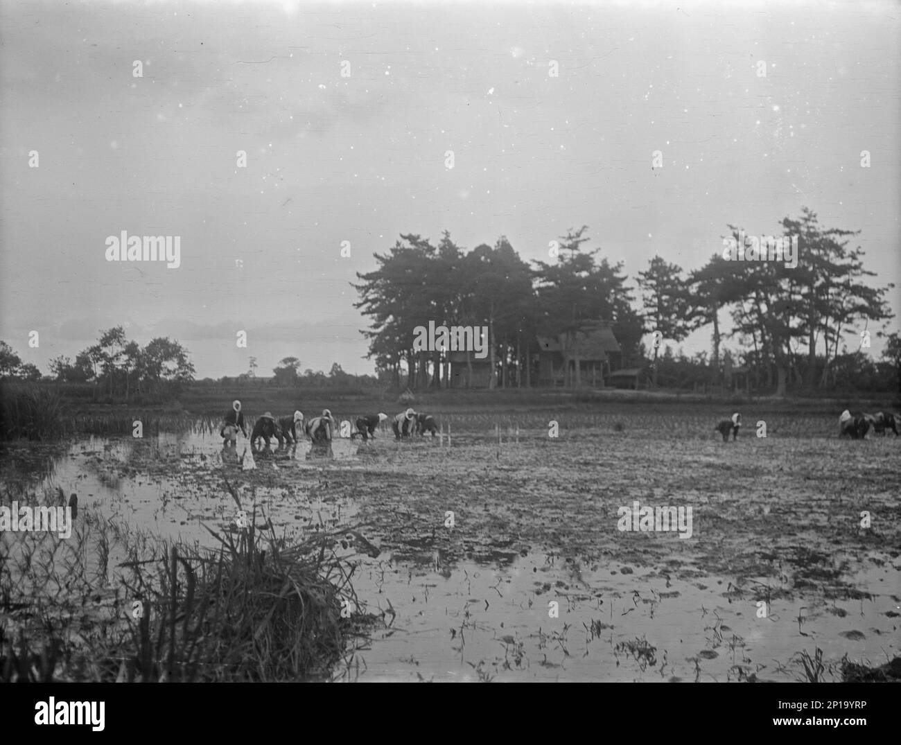 Travel views of Japan and Korea, 1908 Stock Photo - Alamy