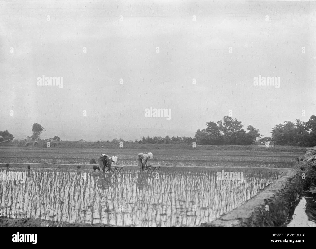 Travel views of Japan and Korea, 1908 Stock Photo - Alamy