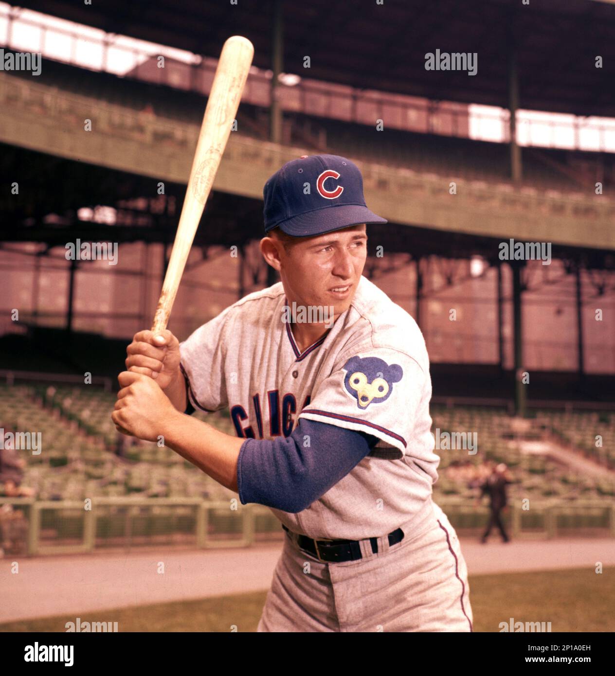Chicago Cubs Ron Santo (10) portrait from his 1962 season with the ...