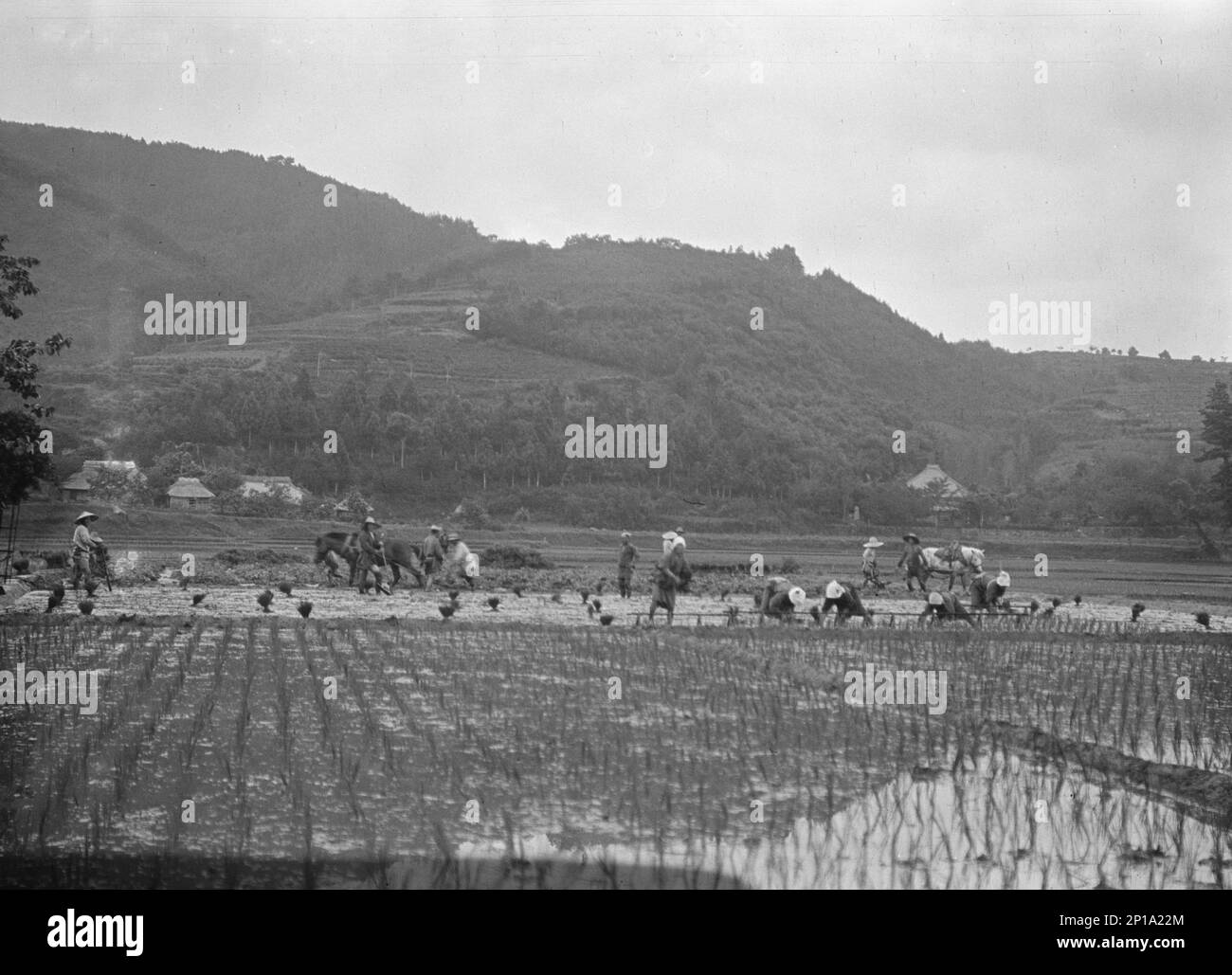 Travel views of Japan and Korea, 1908 Stock Photo - Alamy