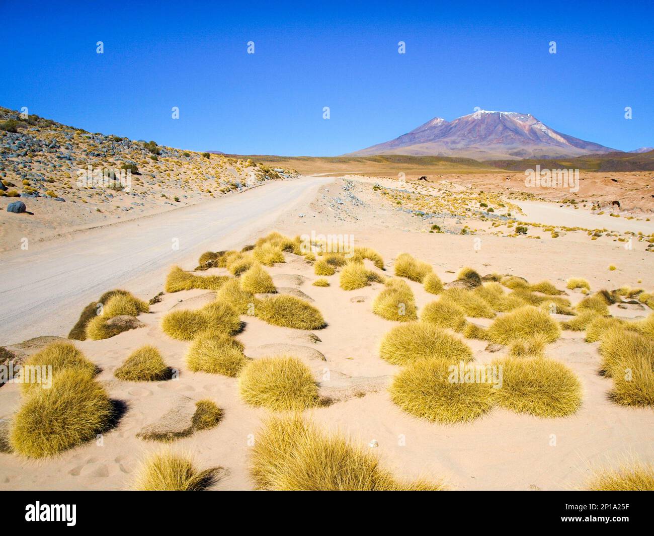 High peaks and typical grass clumps in Cordillera de Lipez, Andean ...