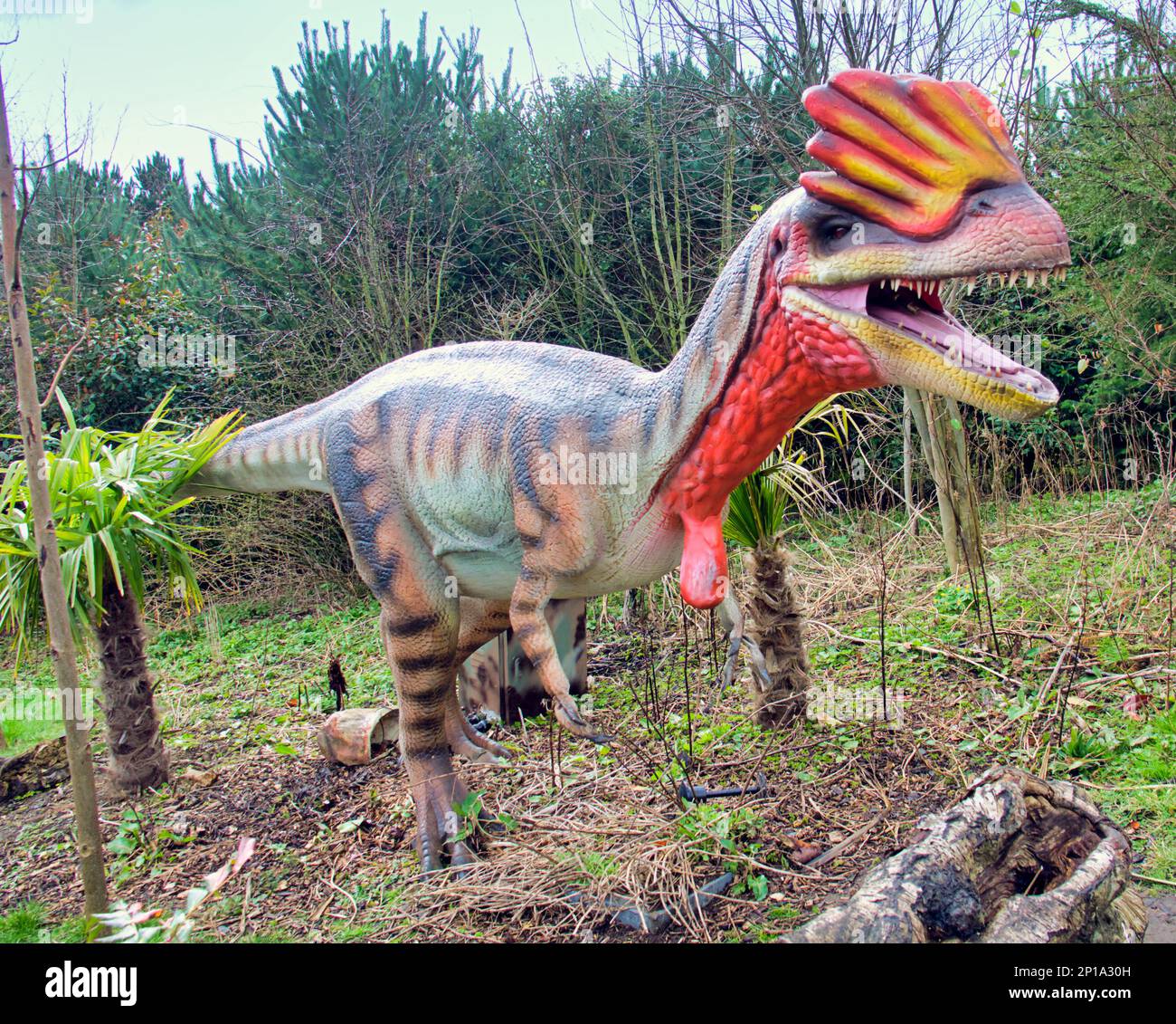 Dilophosaurus hi-res stock photography and images - Alamy