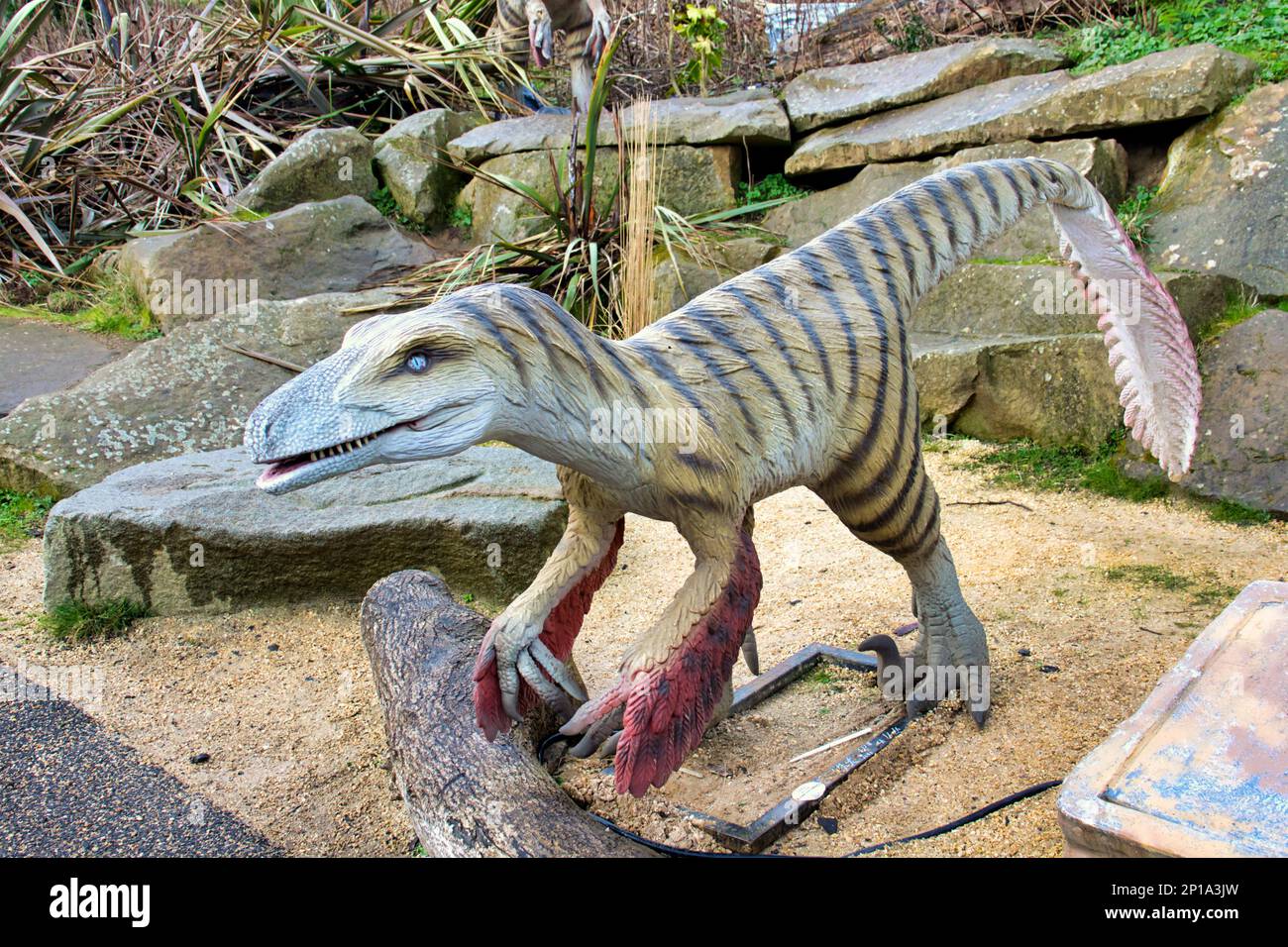 Velociraptor dinosaur hi-res stock photography and images - Alamy