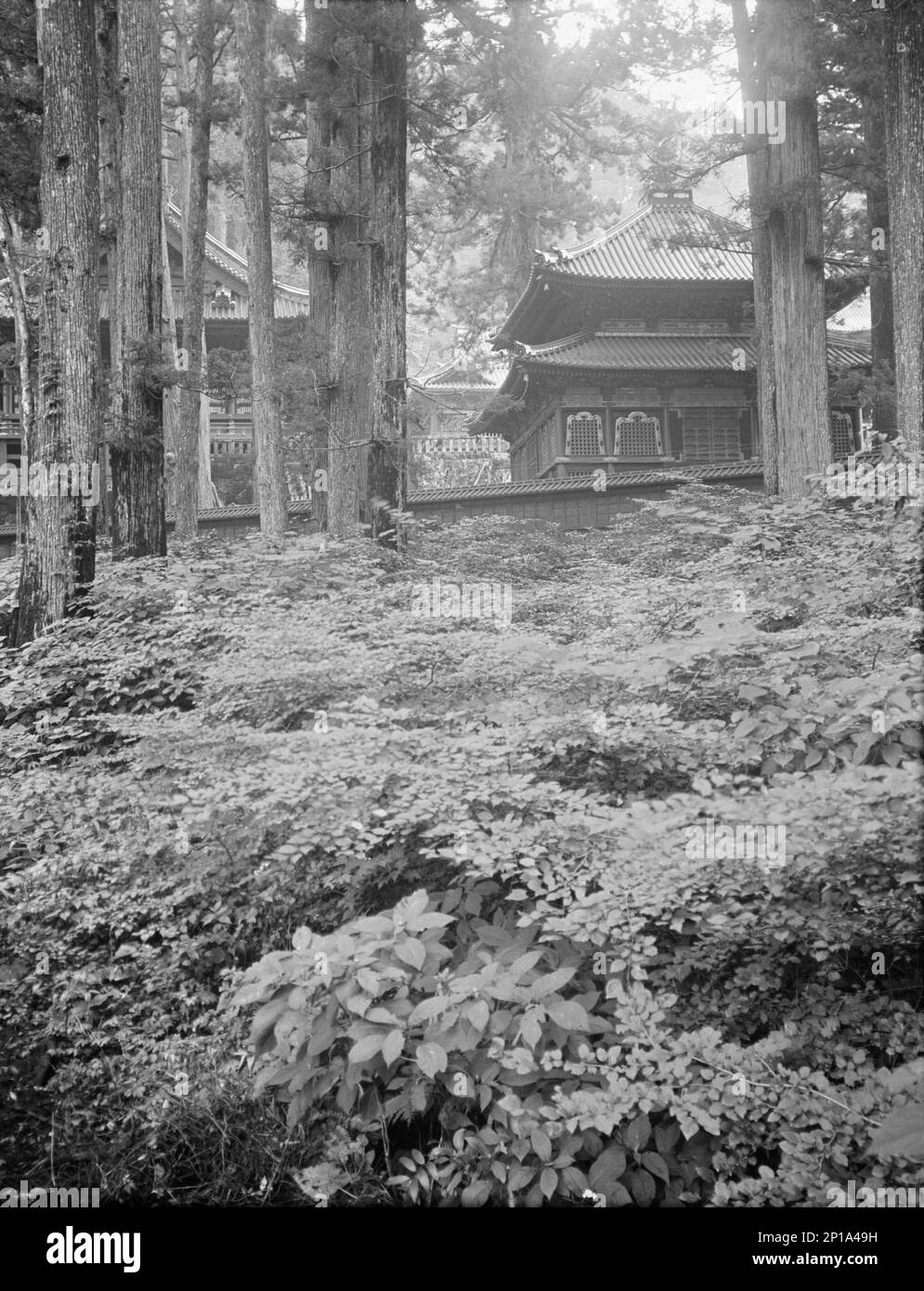 Travel views of Japan and Korea, 1908 Stock Photo - Alamy