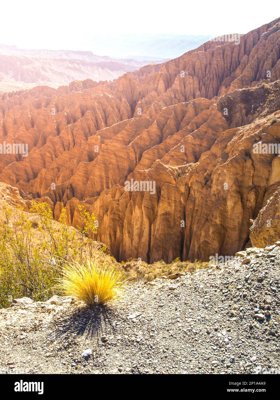 Landscape around Quebrada de Palala Valley with eroded spiky rock ...