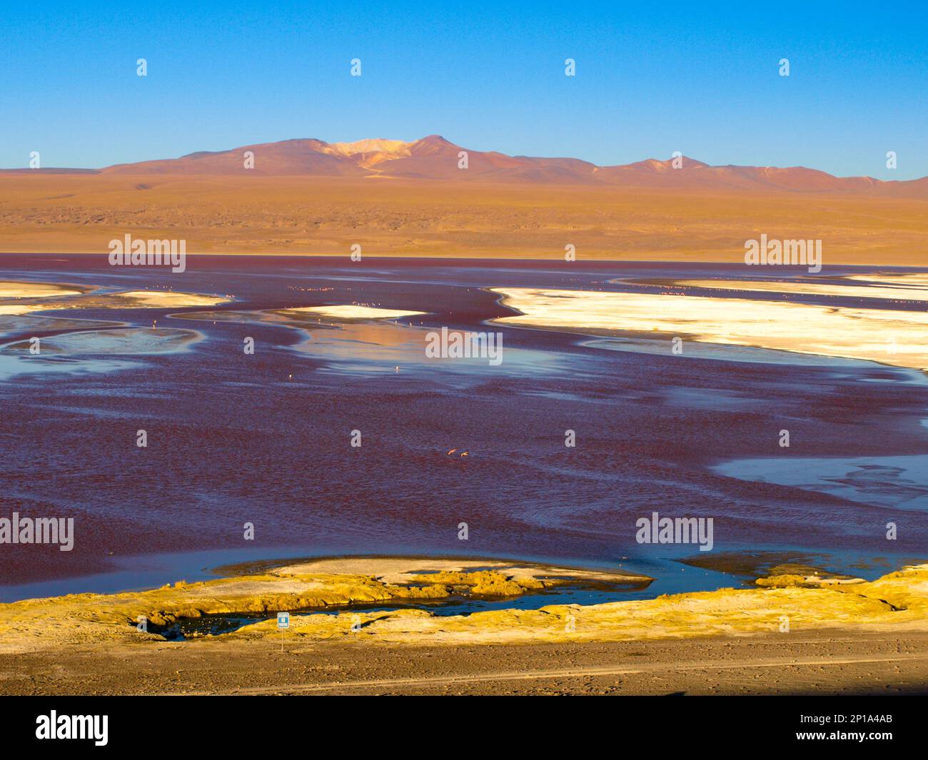Laguna Colorada or Red Lagoon and typical brown mountains in background ...