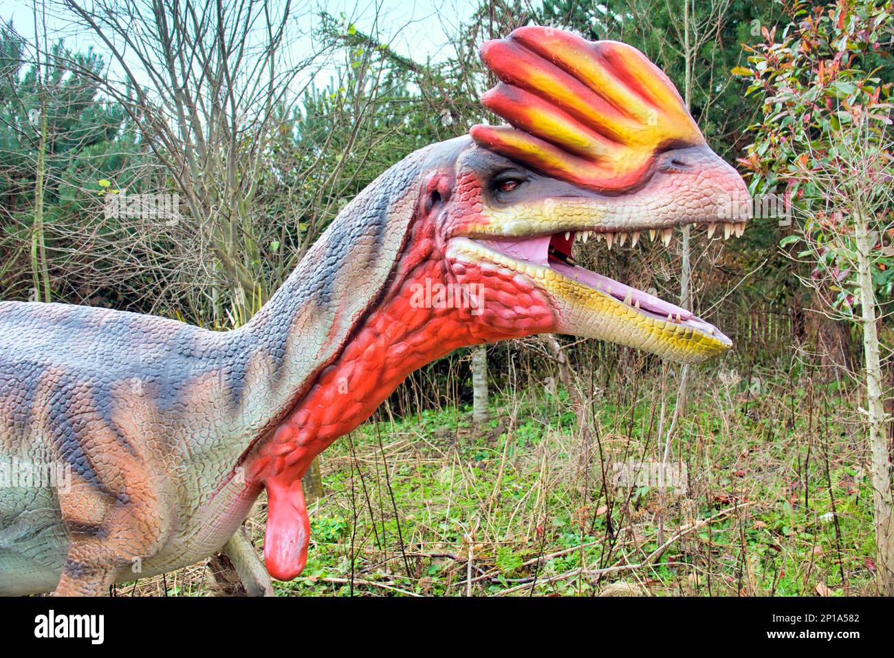 Dilophosaurus dinosaurs hi-res stock photography and images - Alamy