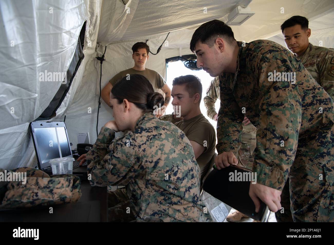 U.S. Air Force Airmen and U.S. Marine Corps Marines work to establish a ...
