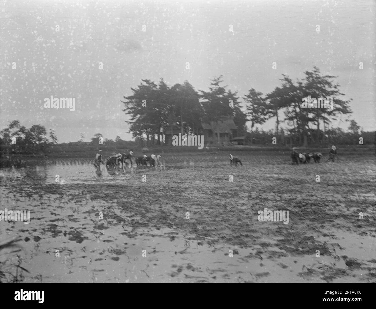 Travel views of Japan and Korea, 1908 Stock Photo - Alamy