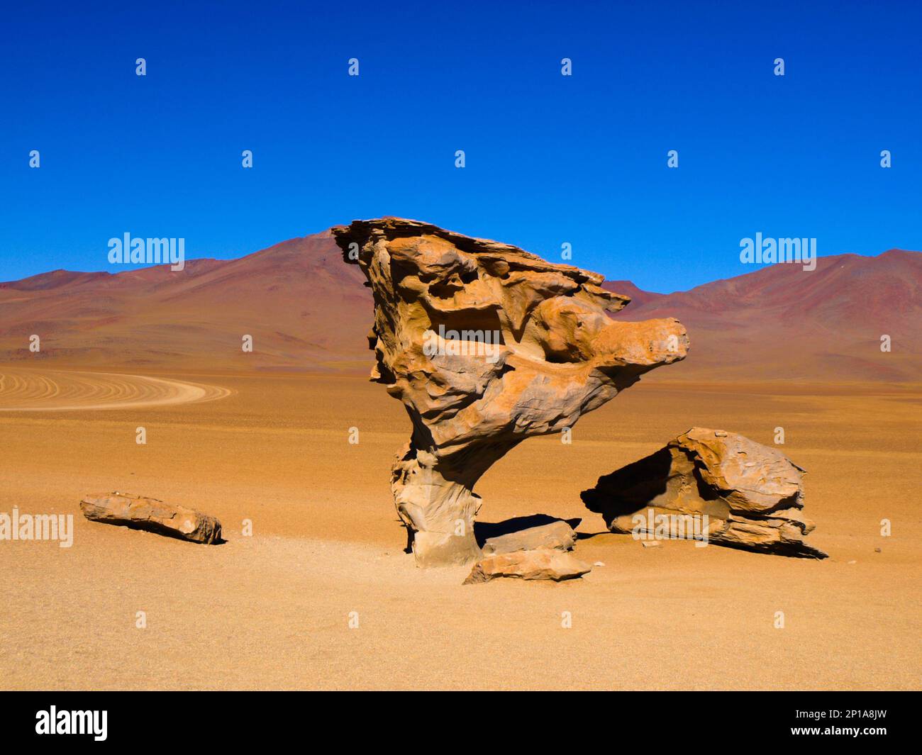 Stone tree rock formation in desert landscape of Altiplano with blue ...