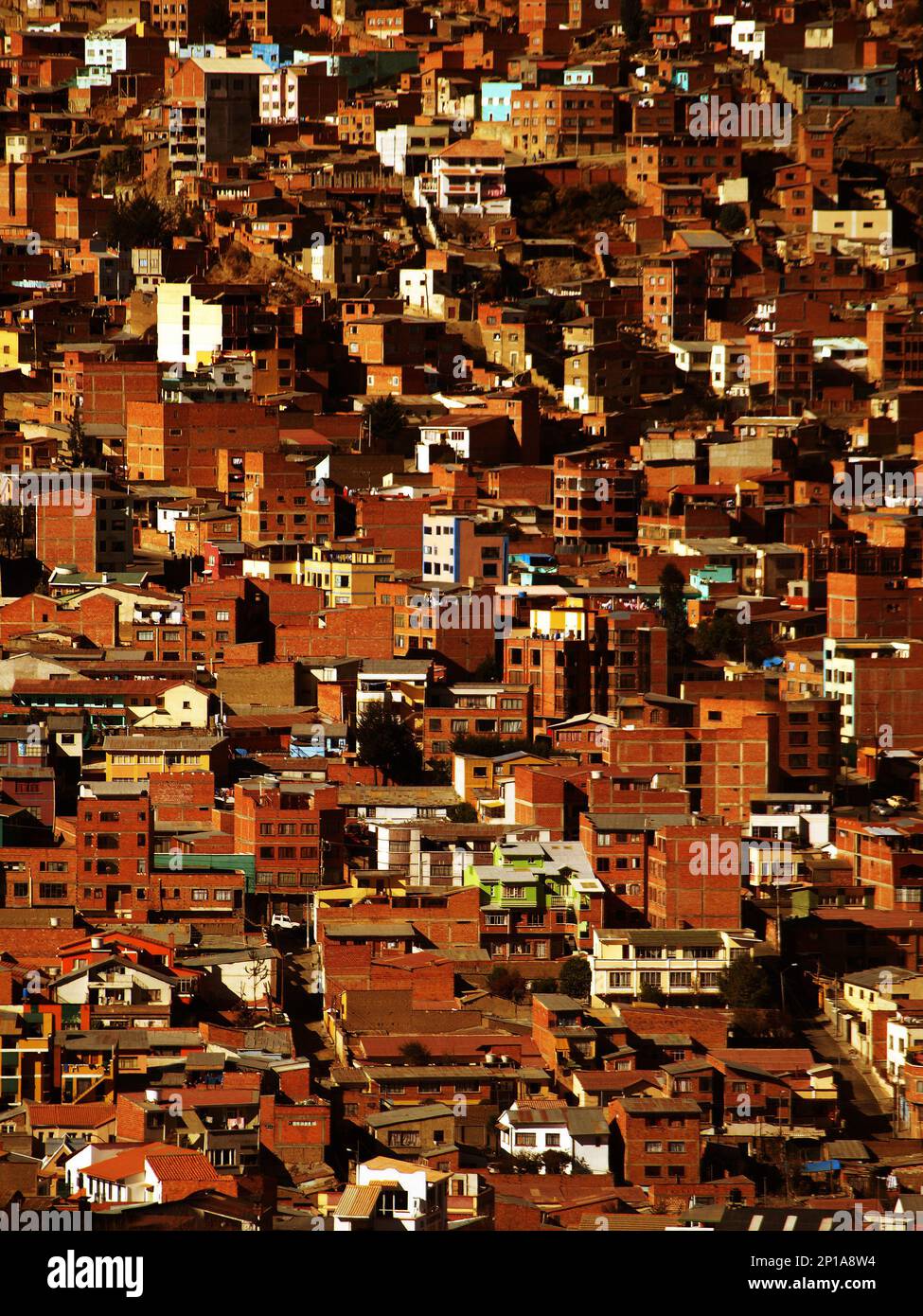 Slum houses built in steep hill of La Paz, Bolivia, South America Stock ...