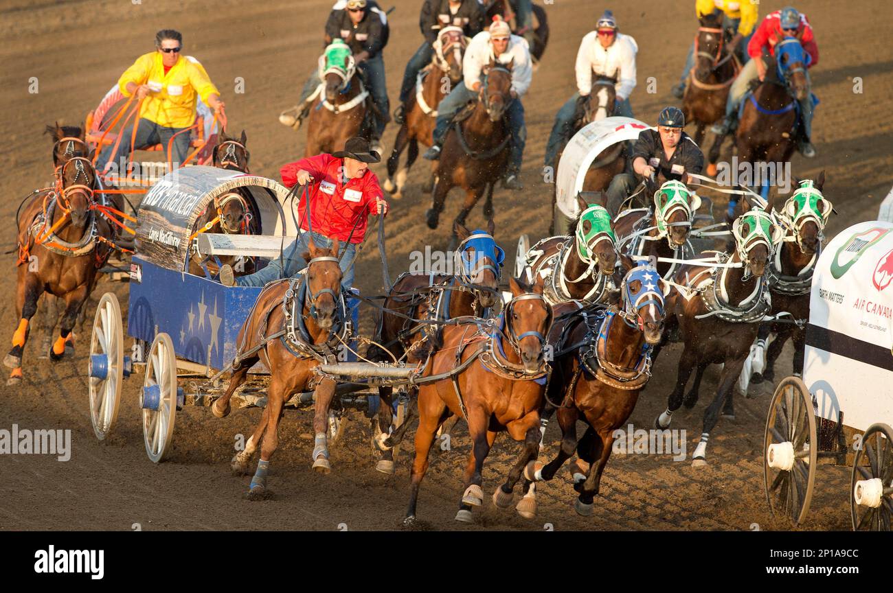 Chuckwagon Racing during the Calgary Stampede in Calgary, Alberta on ...