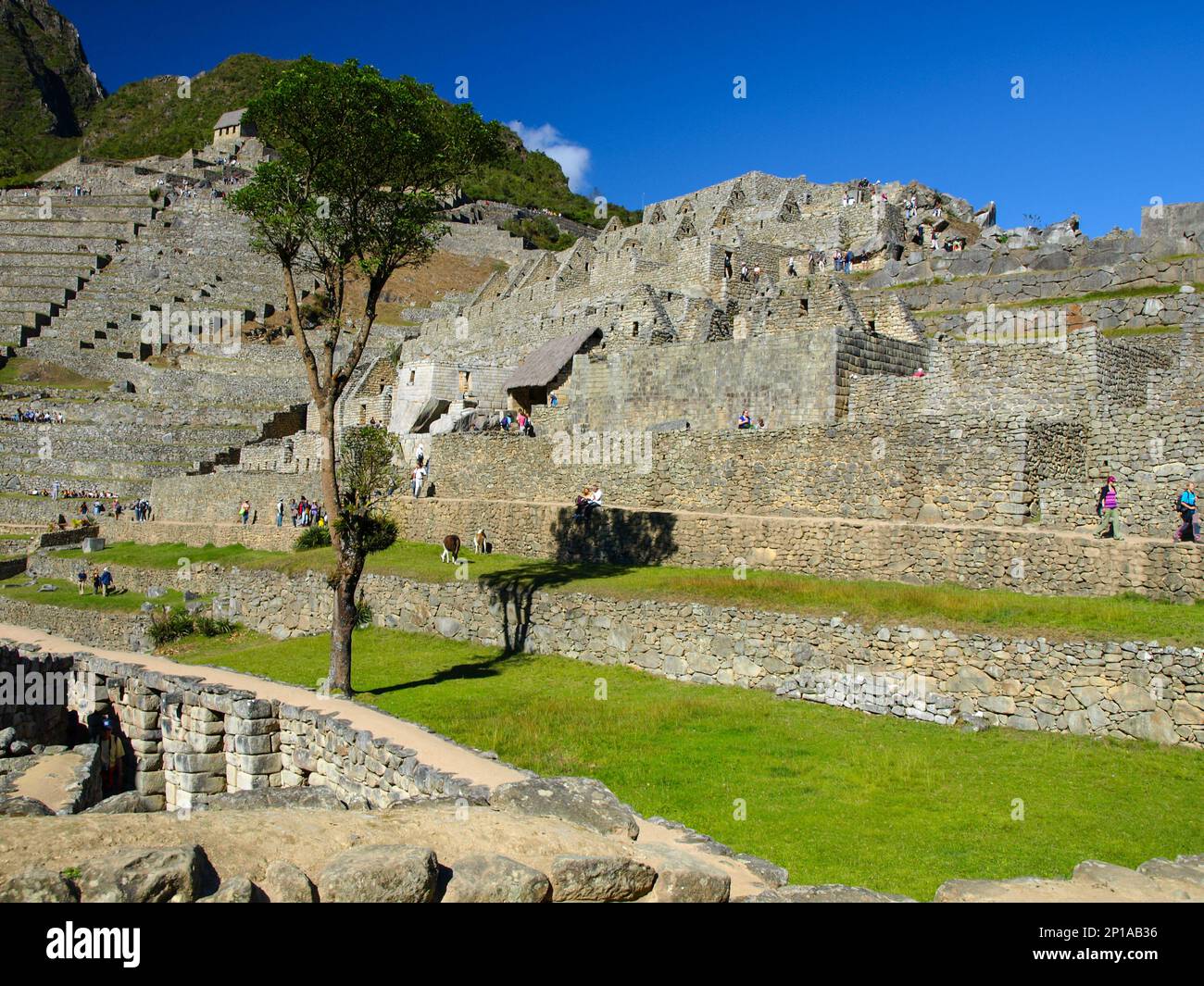Unusual view of Machu Picchu terraces, Peru Stock Photo - Alamy Unusual view of Machu Picchu terraces, Peru Stock Photo - Alamy