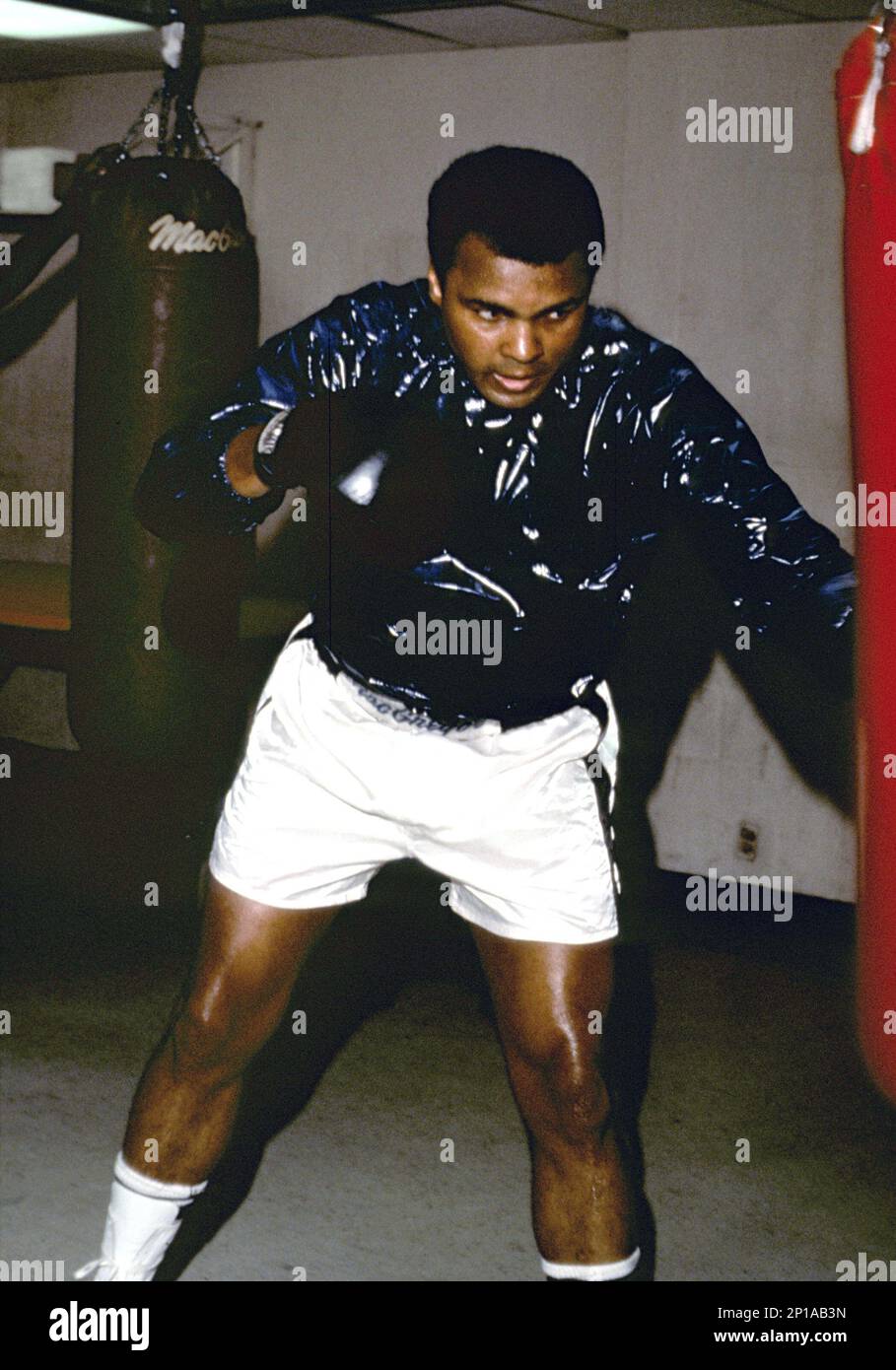 Boxer Muhammad Ali works out at the Fifth Street Gym in 1982 on Miami ...