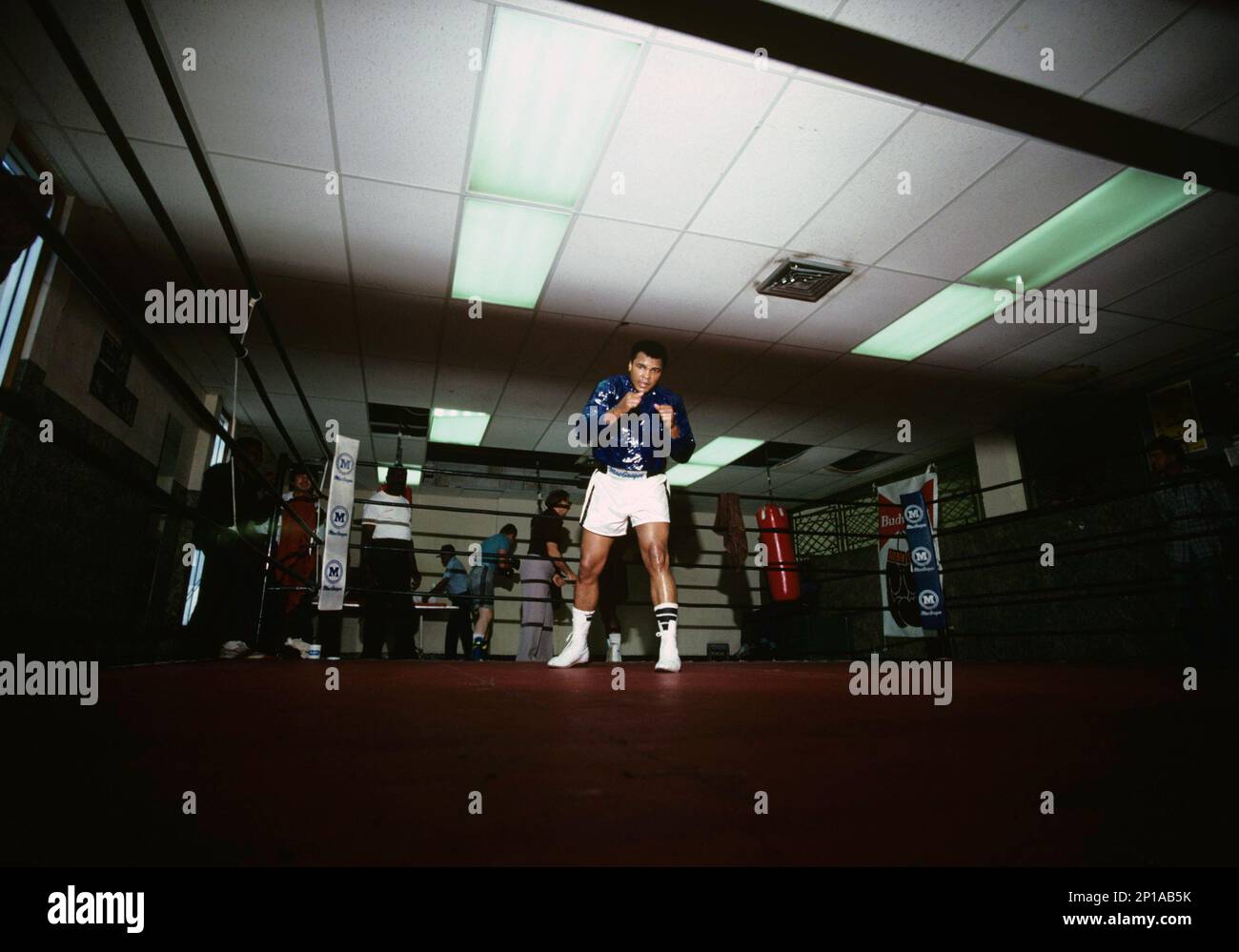Boxer Muhammad Ali works out at the Fifth Street Gym in 1982 on Miami ...