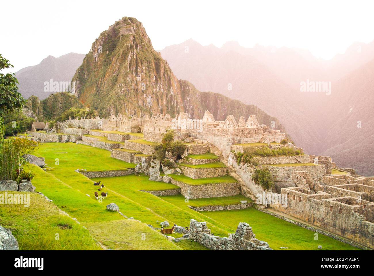 Machu Picchu, Lost City of Incas. Peru Stock Photo - Alamy