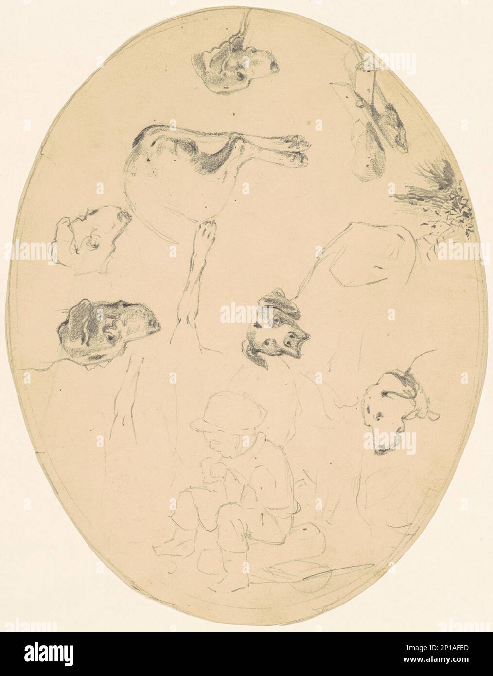 Studies of Dogs and a Seated Boy [recto], c. 1840-1850 Stock Photo - Alamy