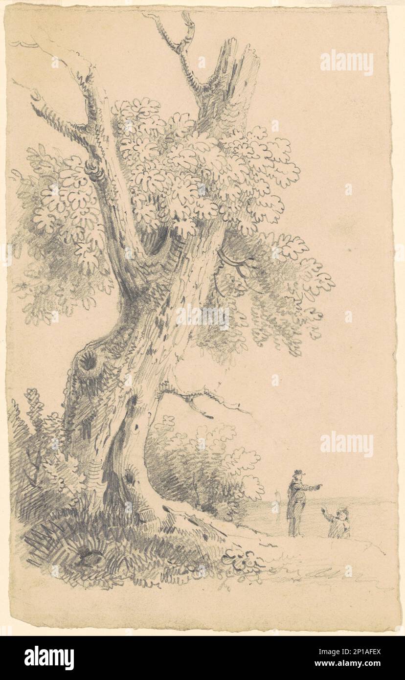 Tree Near the Shore, c. 1830-1835 Stock Photo - Alamy