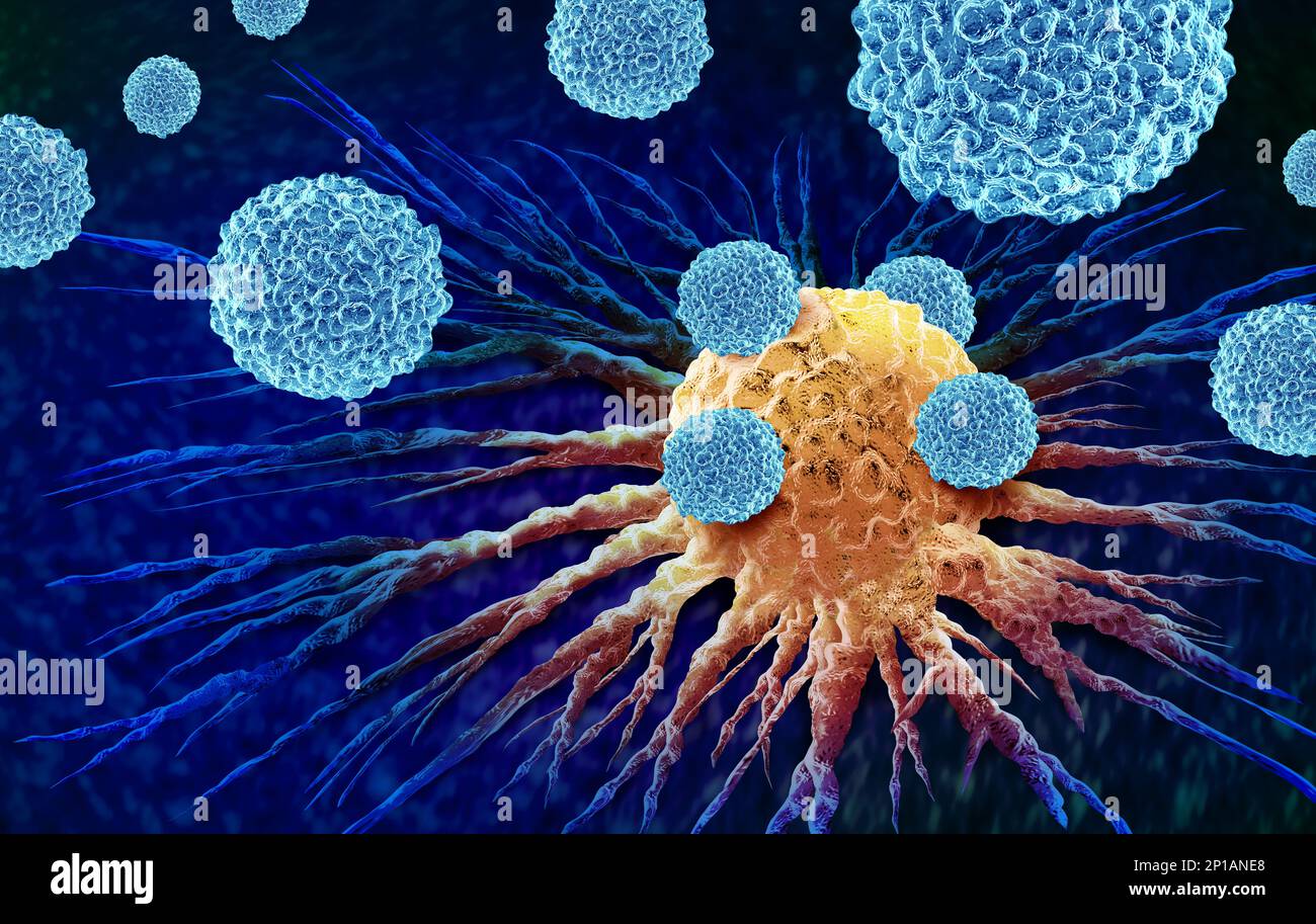 leukocytes attacking a Cancer Cell as an oncology or Malignant ...