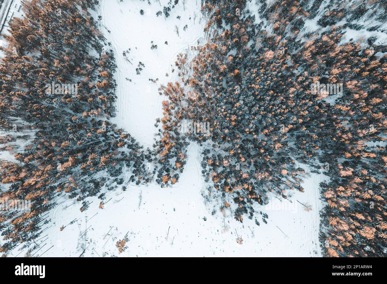 Aerial 4k footage forest hi-res stock photography and images - Alamy