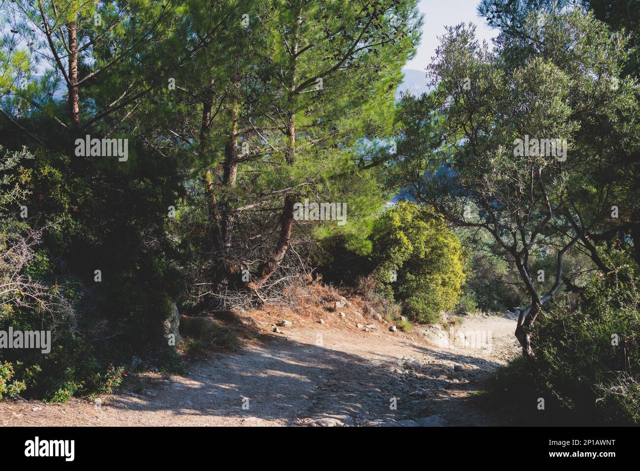 View of hiking trail from Paleokastritsa to Lakones, Old Donkey path ...
