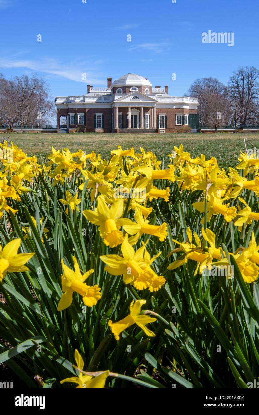 Early springtime flowers, Monticello, the historic home of Thomas ...
