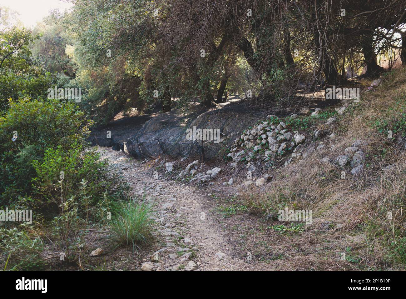 View of hiking trail from Paleokastritsa to Lakones, Old Donkey path ...