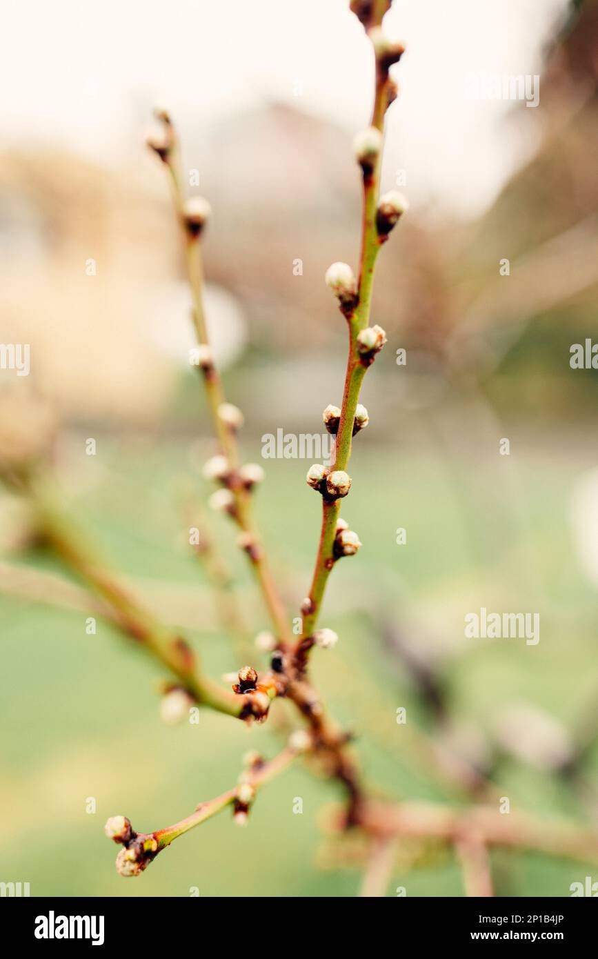 Awesome banner hi-res stock photography and images - Alamy