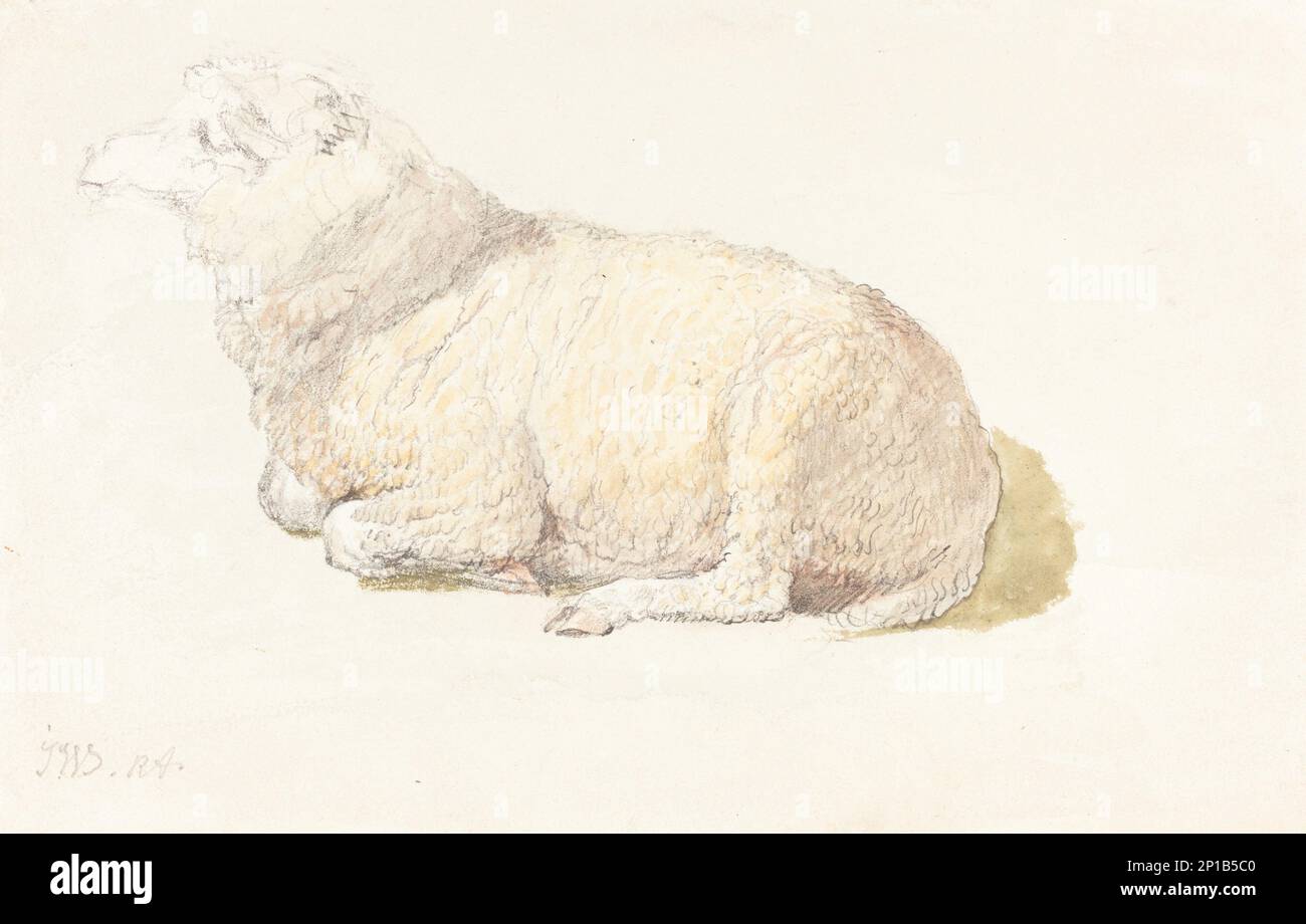 Resting recumbent hi-res stock photography and images - Alamy