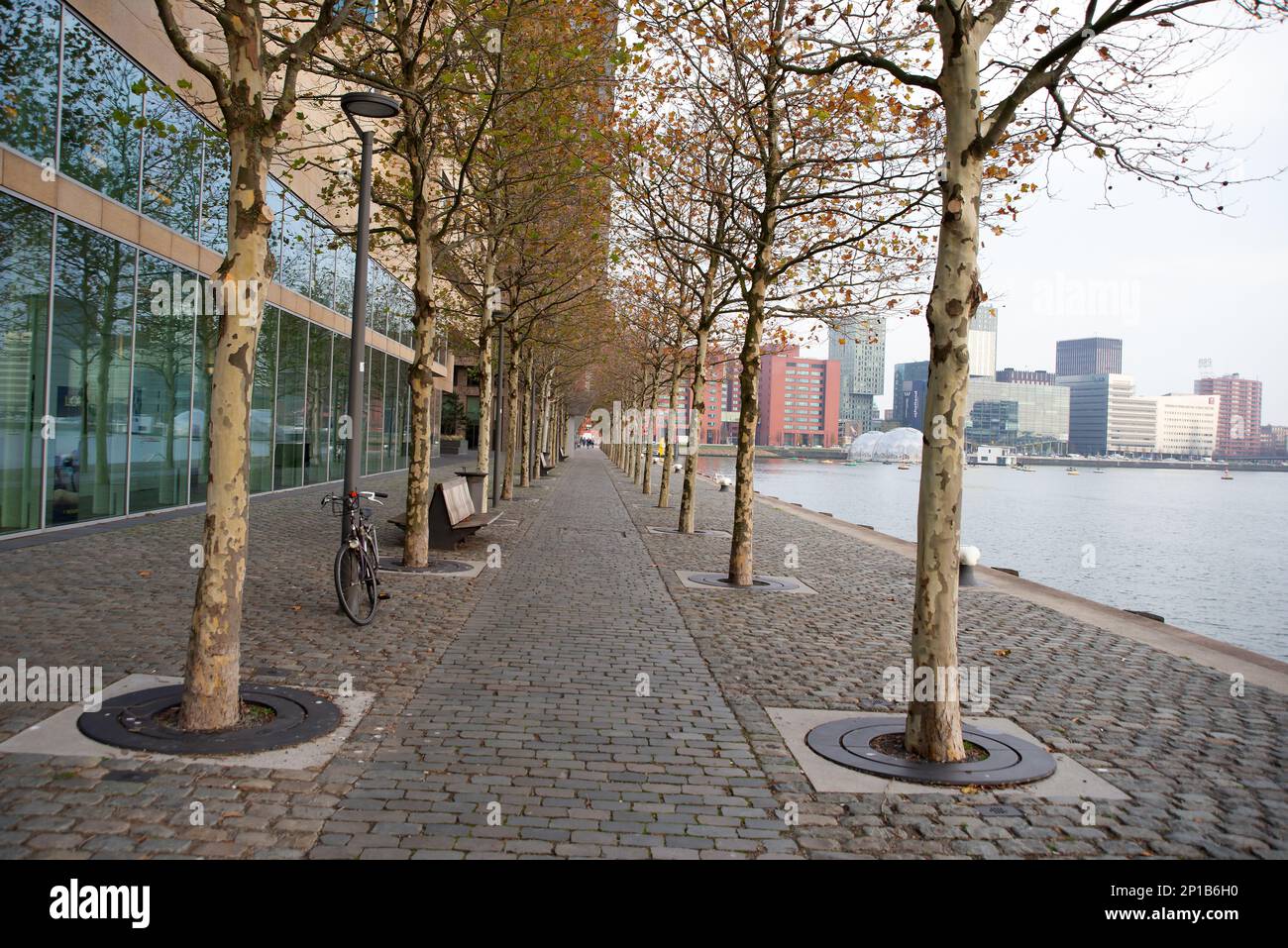 Modern architecture rotterdam skyline hi-res stock photography and ...