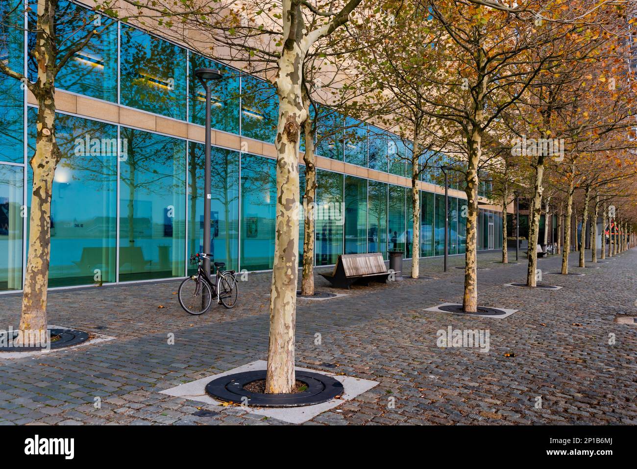 Rotterdam, Netherlands-21 November 2018: Modern architecture in the ...