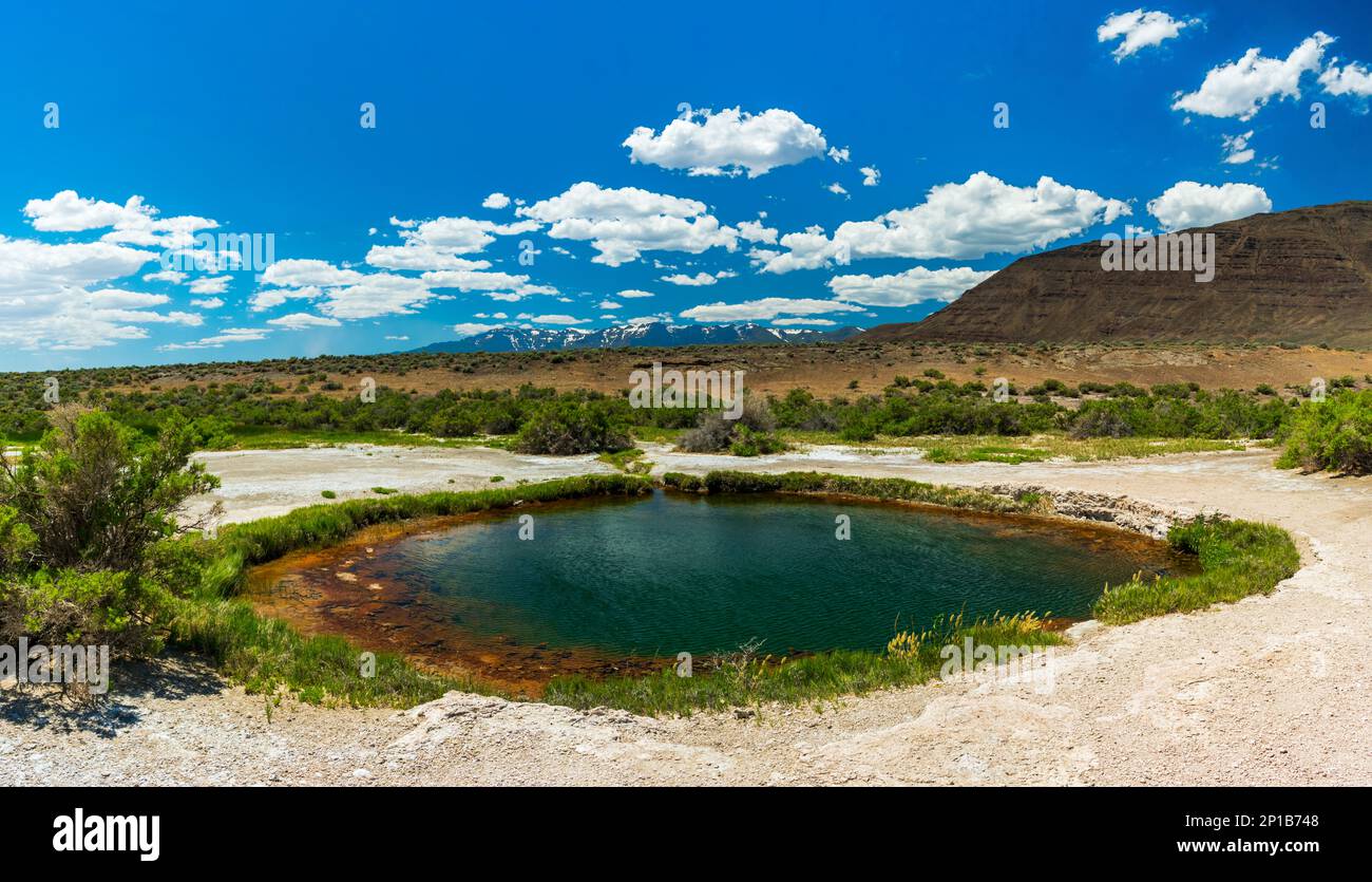 Beautiful green hot spring pool in Alvord Desert, Oregon Stock Photo ...
