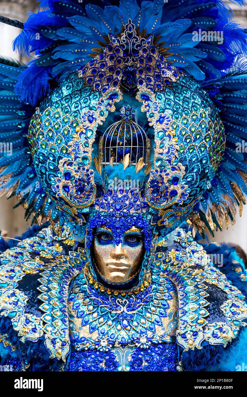 Amazing mask at the Venice carnival. Bird dress covered in feathers and ...