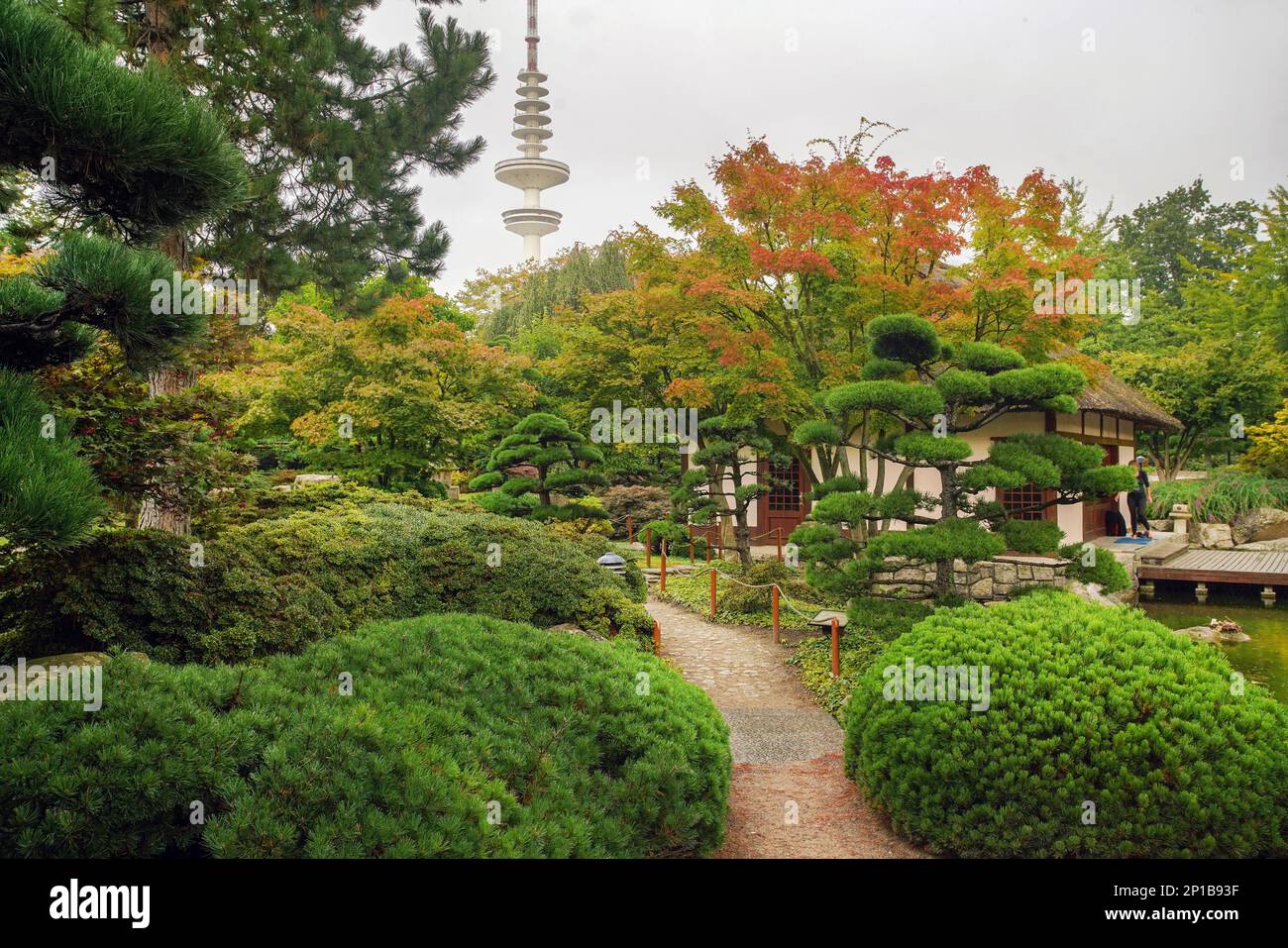 Tv tower topiary hi-res stock photography and images - Alamy