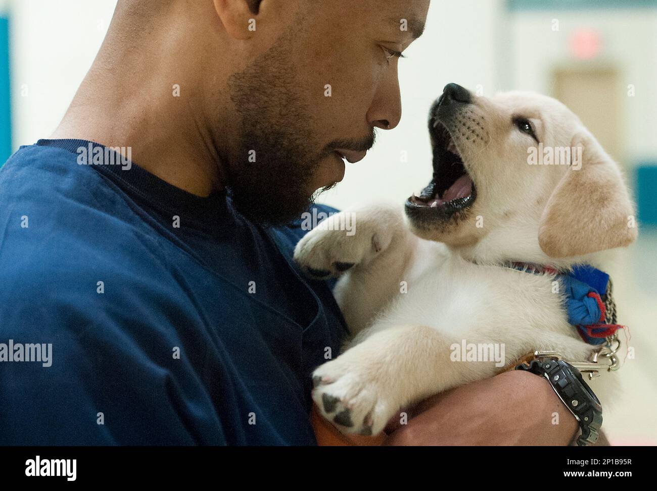 ADVANCE FOR USE MONDAY, MAY 30 - In this photo taken Wednesday, May 17 ...