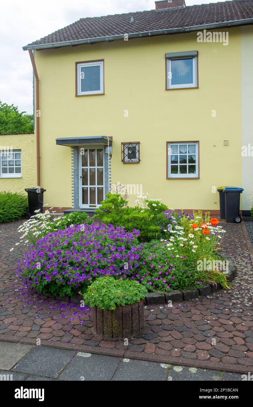 Amazing flowering near the suburbs of Cologne (North Rhine-Westphalia ...