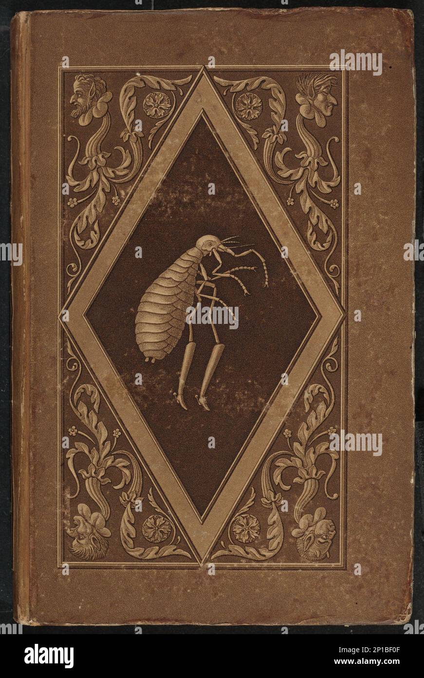 Master flea a fairy tale in seven adventures of two friends hi-res ...