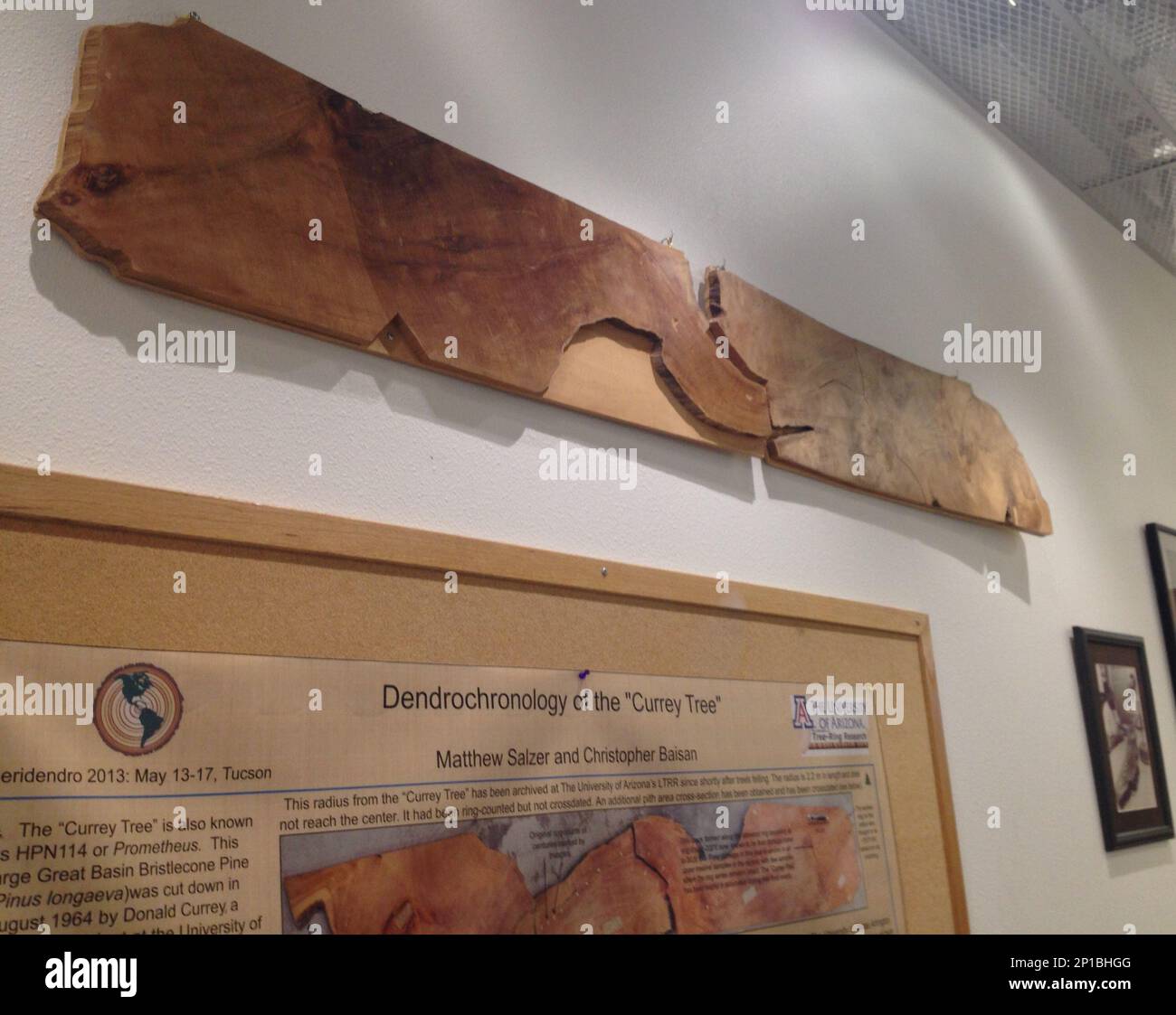 Prometheus Tree Rings