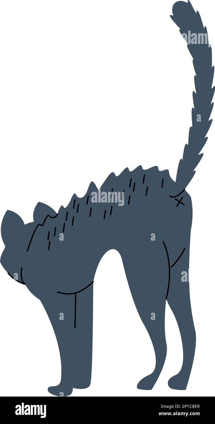 Bristly cat hi-res stock photography and images - Alamy