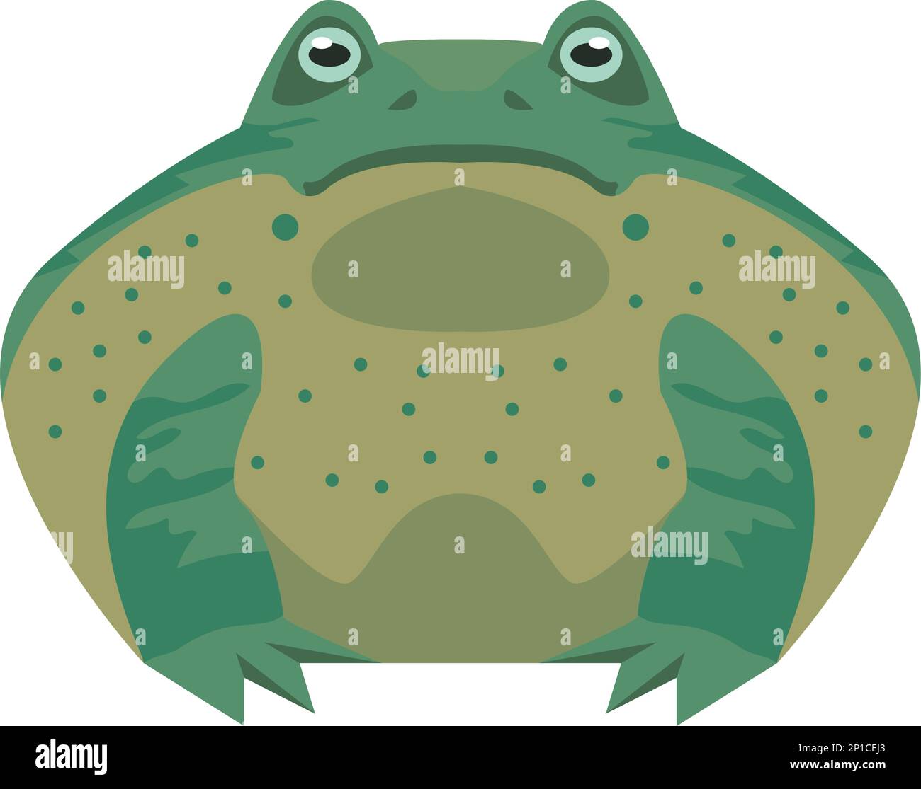 Bull frog vector Stock Vector Images - Alamy