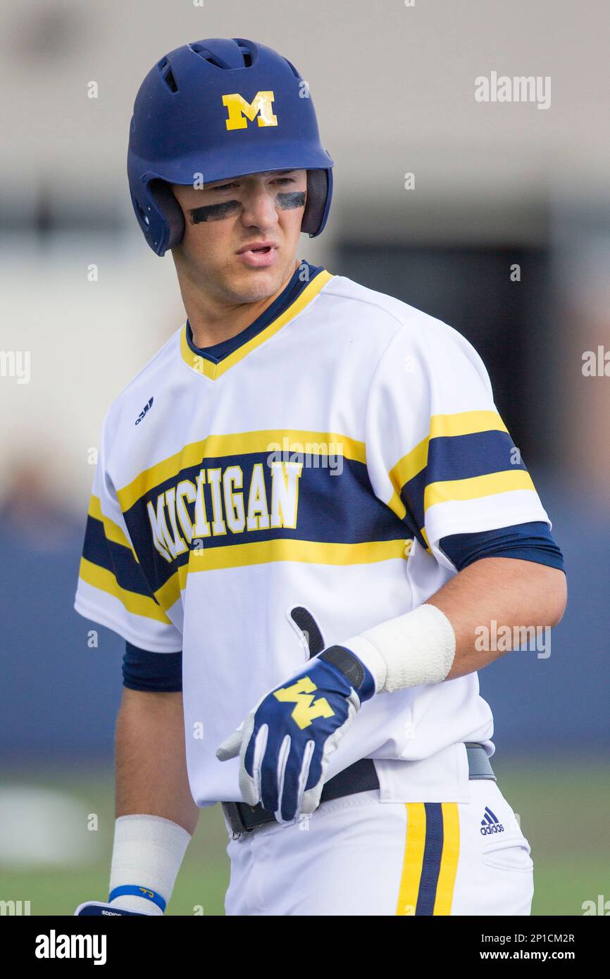 Michigan Wolverines first baseman Drew Lugbauer (17) in action against ...