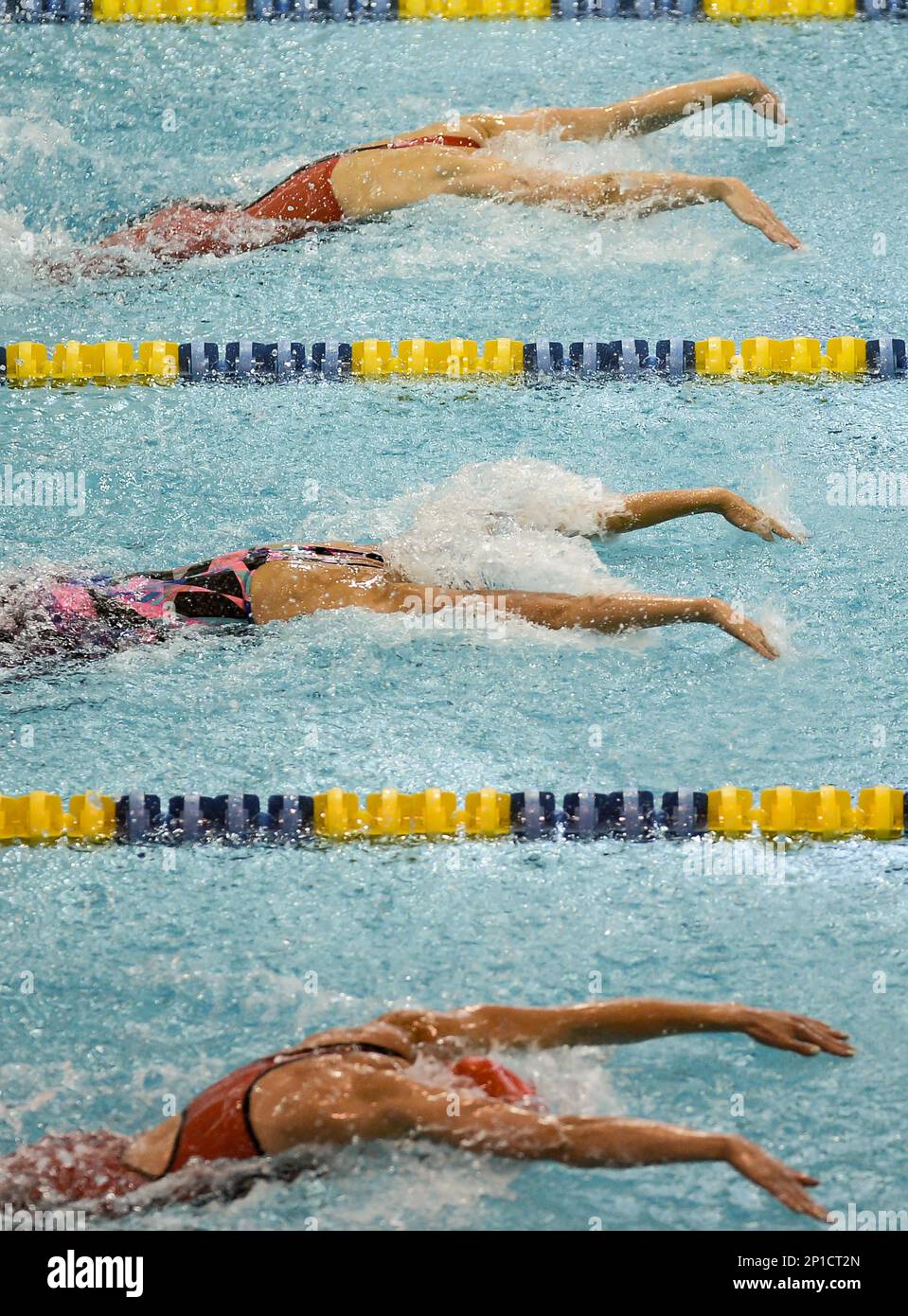 May 14, 2016 Dana Vollmer (middle) races Penny Oleksiak (above) and Ivy ...