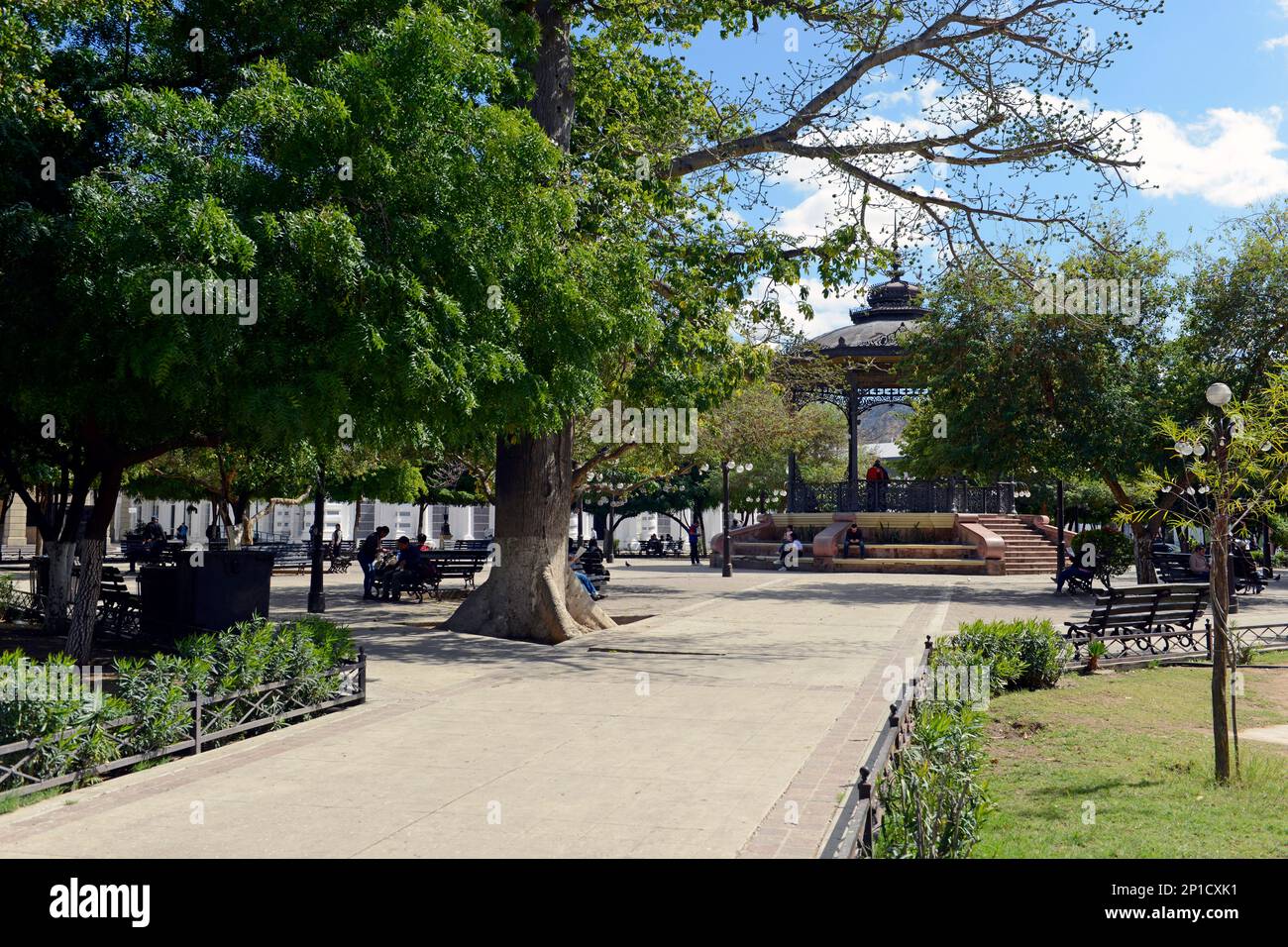 Hermosillo mexico street hi-res stock photography and images - Alamy